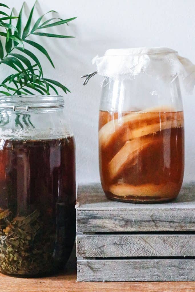 How To Make A Yerba Mate Kombucha: An Easy 6-Step Guide » heythemnaji.com